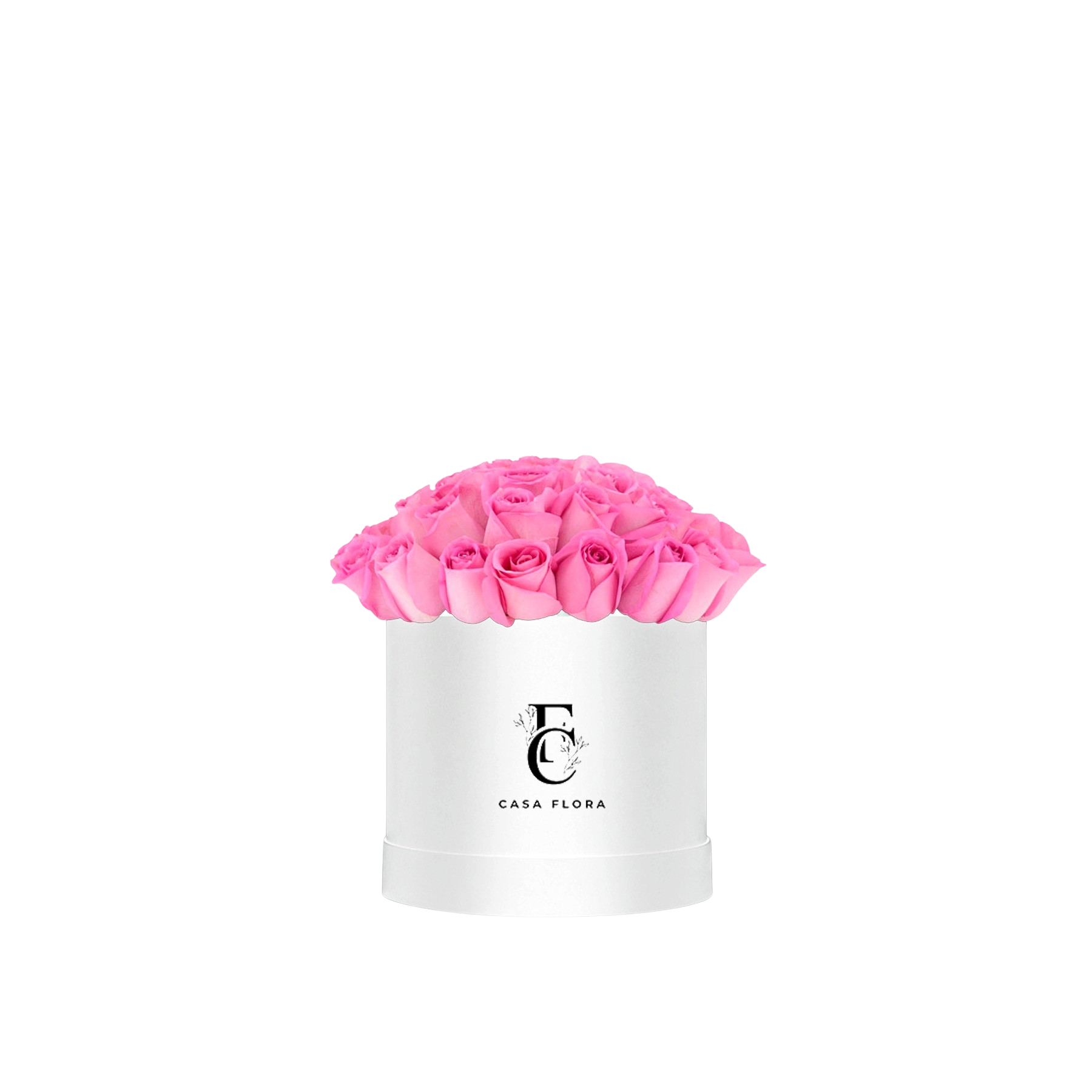 Pink 35 Rose Box W Large – CASA FLORA